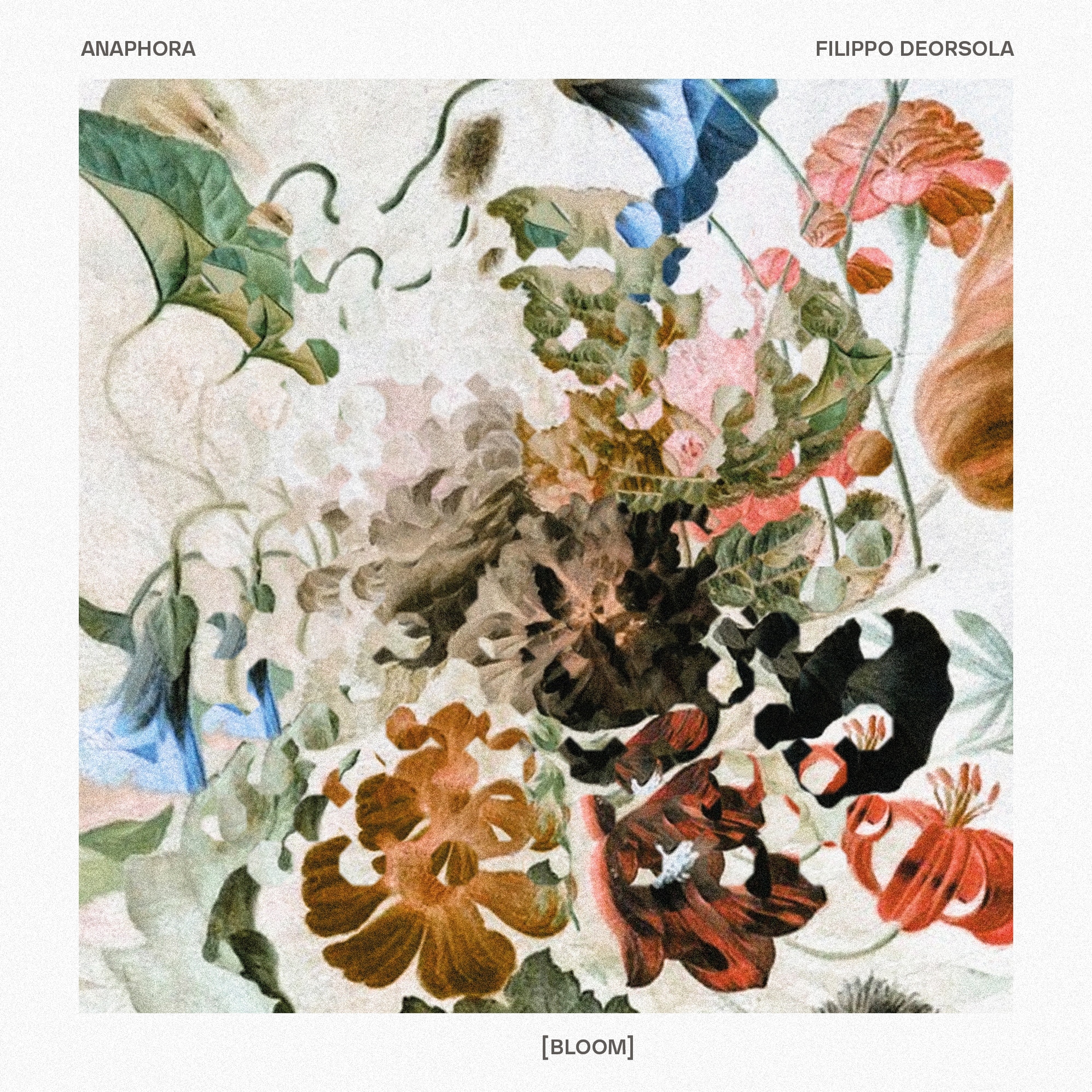 Marco Luparia sort l'album [Bloom] avec son groupe Anaphora ...